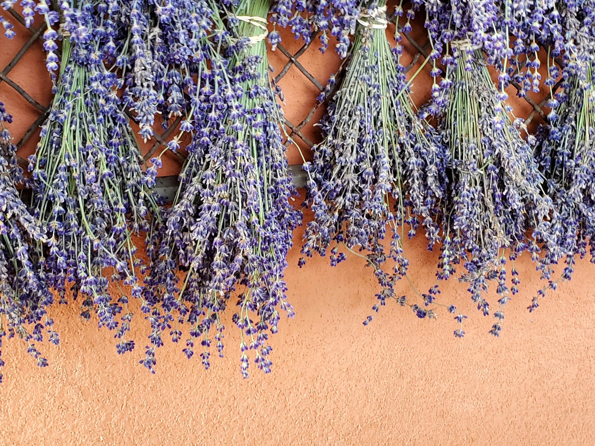 English Lavender Bouquet